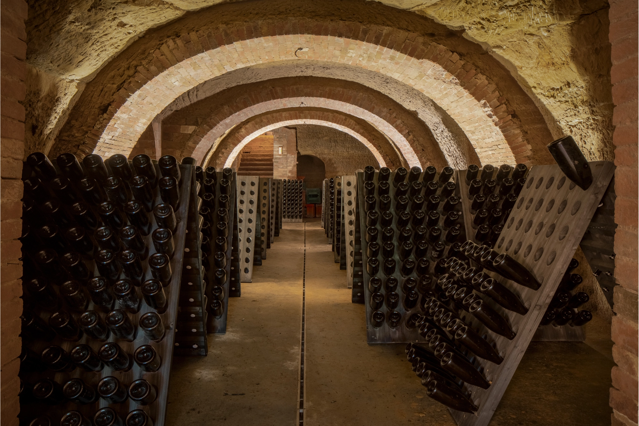 Bacci Wines | Barbaione