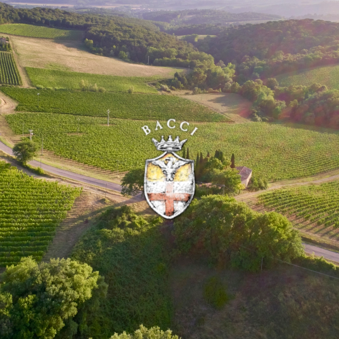 Contacts | Bacci Wines